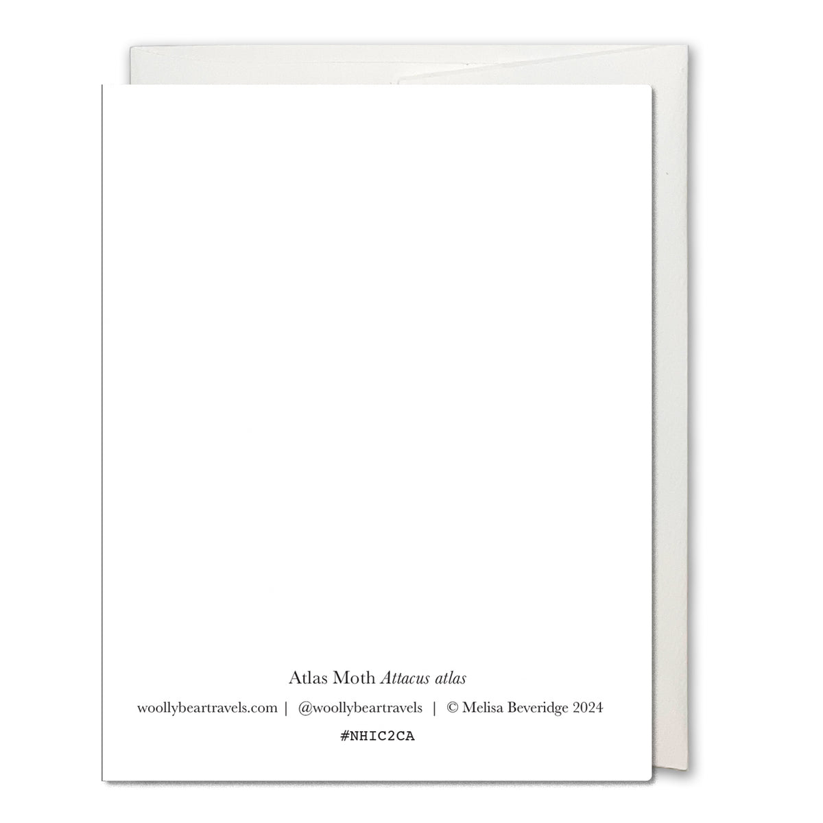 Atlas Moth Greeting Card - Congratulations – Woollybear Travels