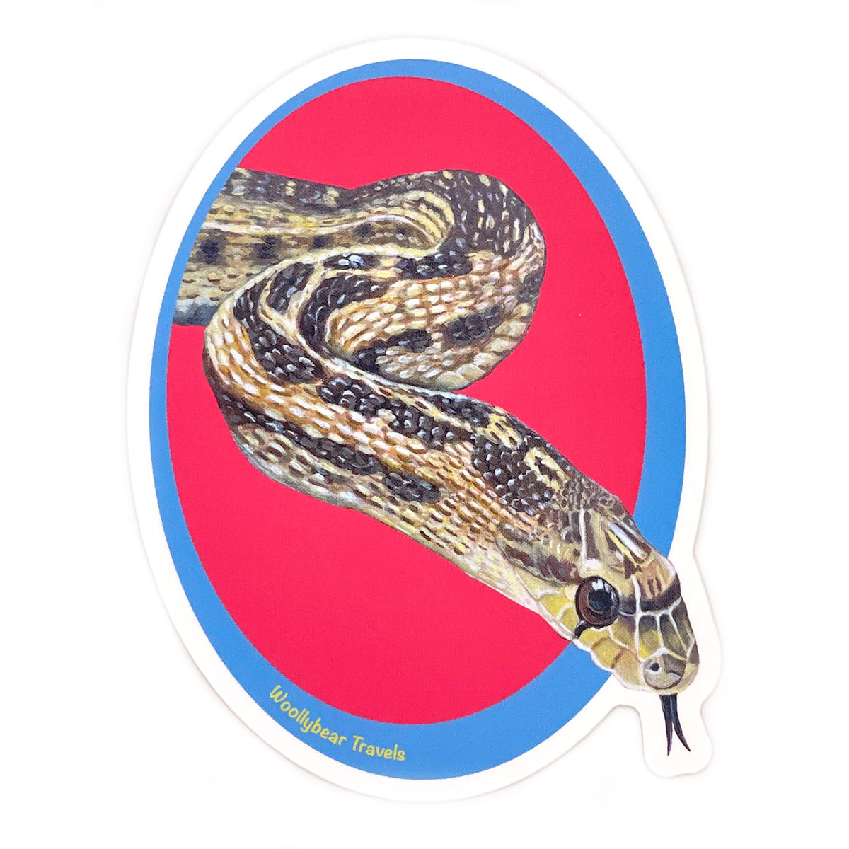 Snake Sticker – William Snakespeare – Woollybear Travels